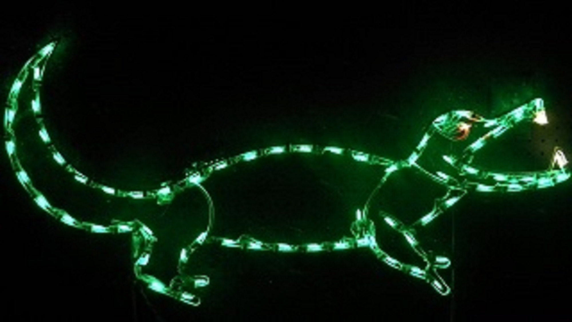 Lori's Lighted D'Lites Small Gator Nautical Lighted Display | Wayfair