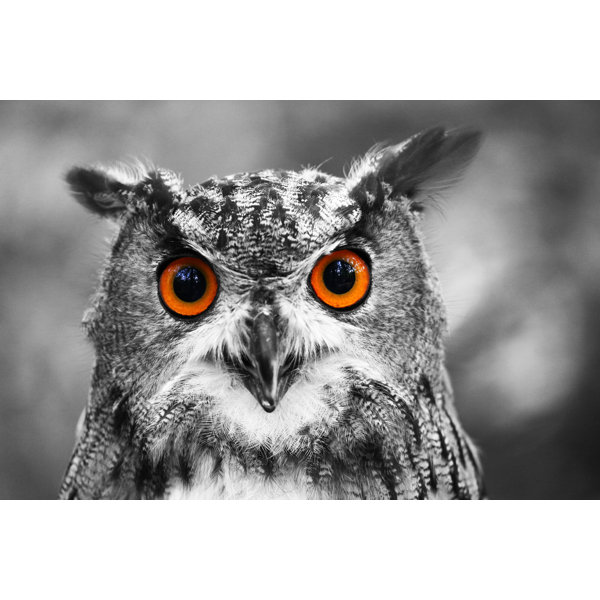 Millwood Pines Owl Portrait On Canvas by Marclschauer Print | Wayfair