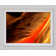 Bright Star Orange Feather Macro - Single Picture Frame Print | Wayfair ...