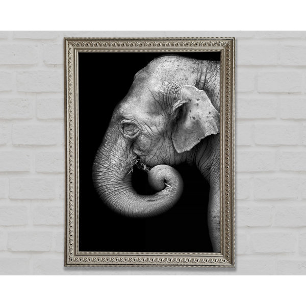 Ebern Designs Elephant Face - Single Picture Frame Art Prints | Wayfair ...
