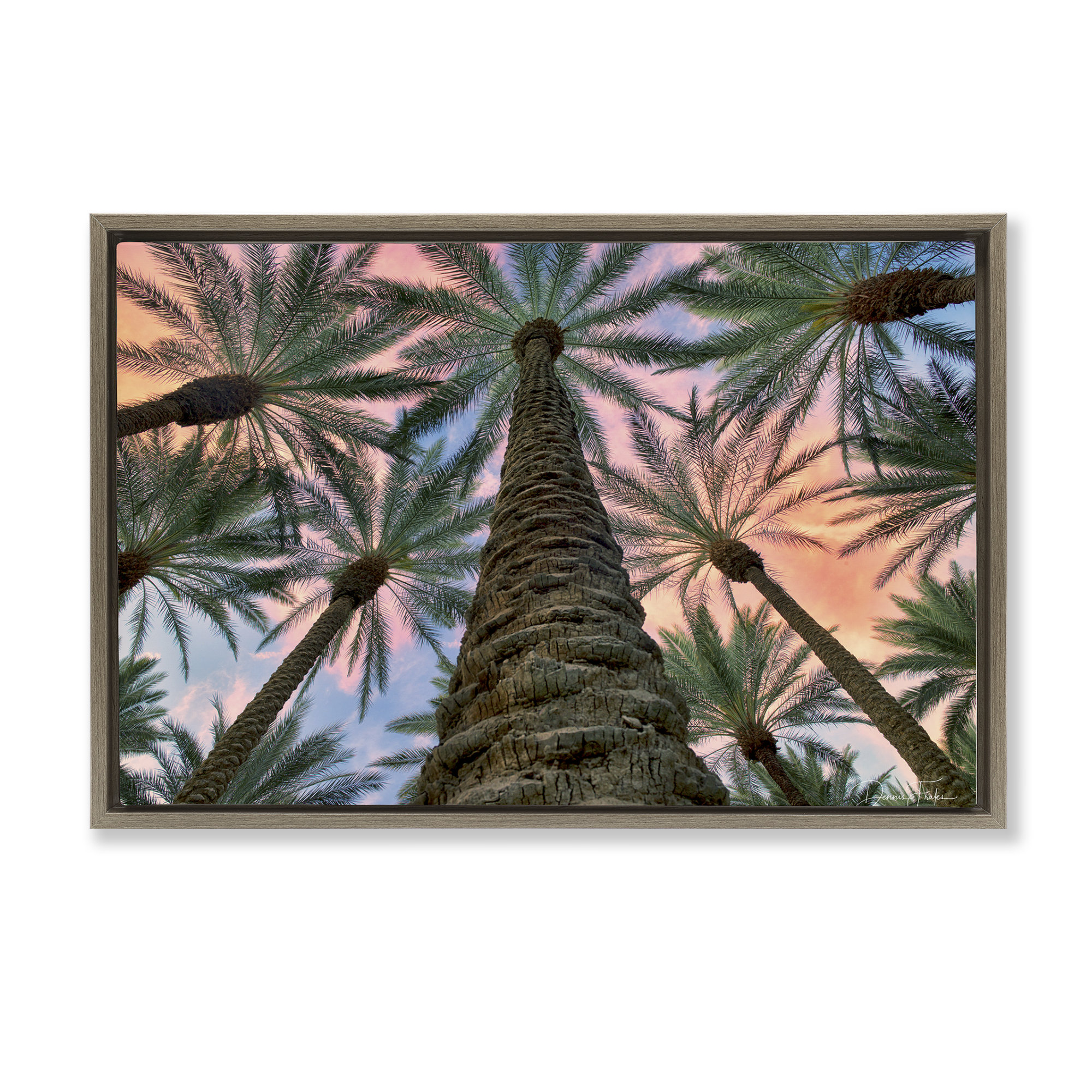 Bay Isle Home™ Tall Overhead Palms Framed Floater Canvas By Dennis ...