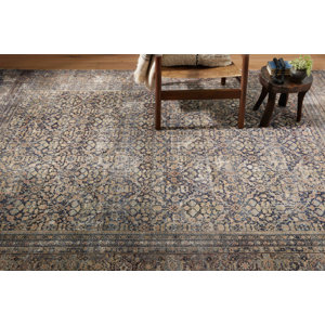 Amber Lewis x Loloi Morgan Denim/Multi Rug & Reviews | Birch Lane