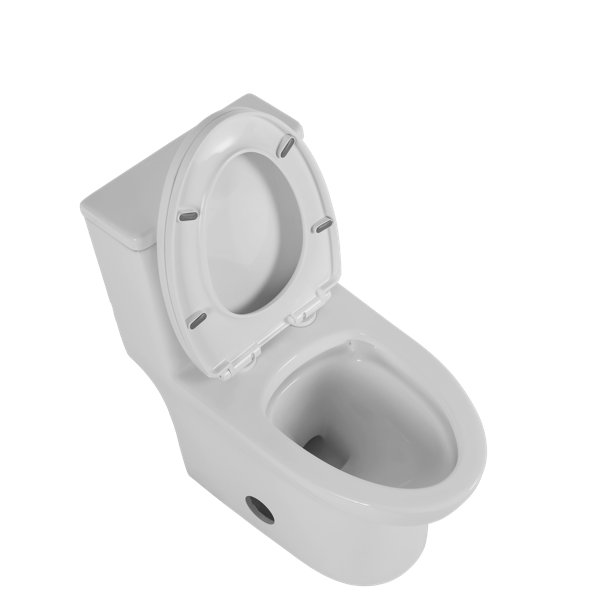 Bothwa Home LLC 1.1/1.6 GPF Antimicrobial, Leak Resistant, Dual Flush ...