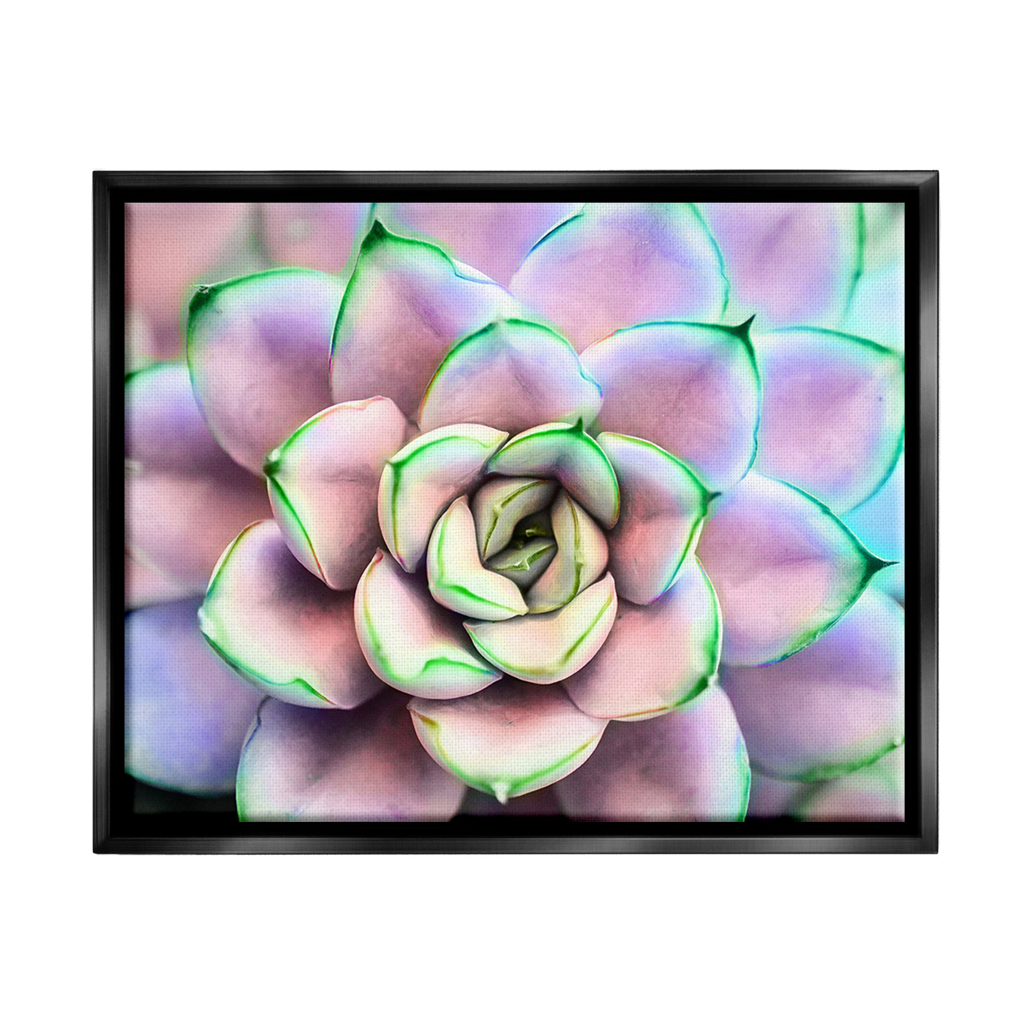 Dakota Fields Purple & Green Succulent Petals Framed Floater Canvas ...
