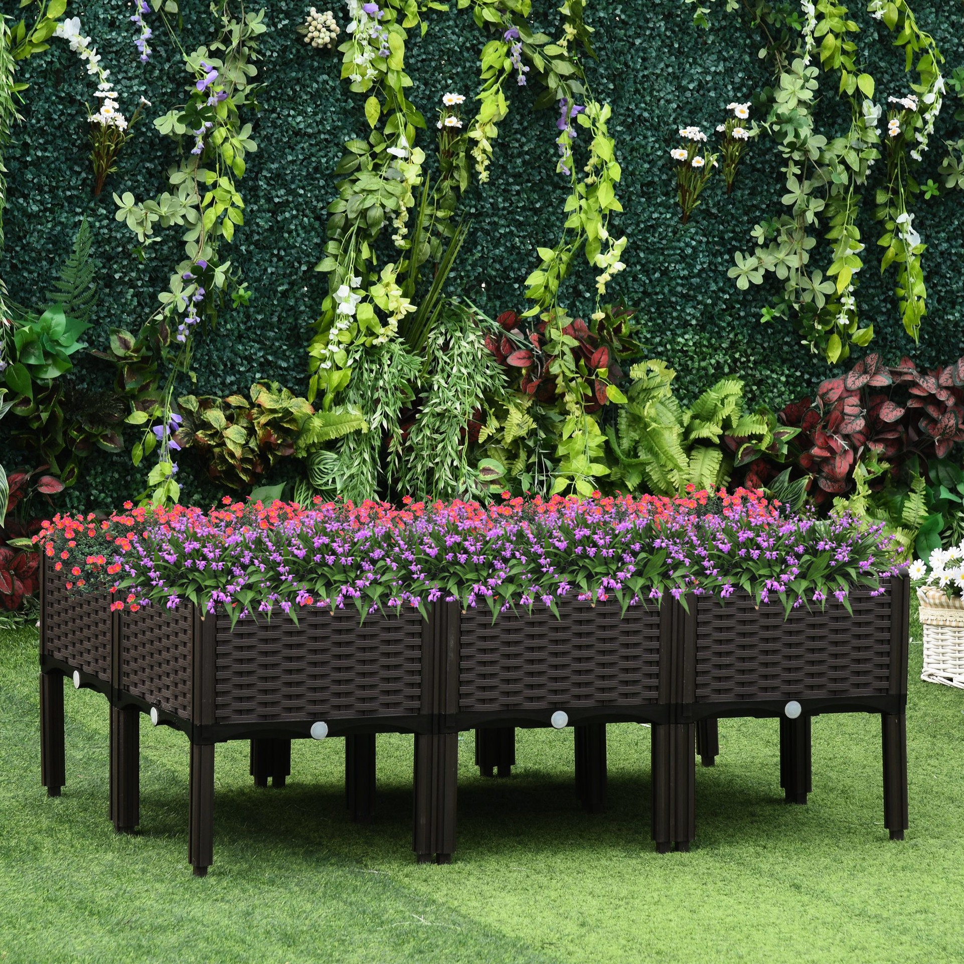 Red Barrel Studio 6 Garden Bed Kit - Elevated Self-Watering Planter ...