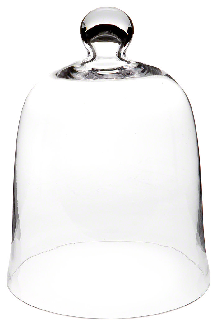 Latitude Run® Bettzy Display Dome Cloche | Wayfair