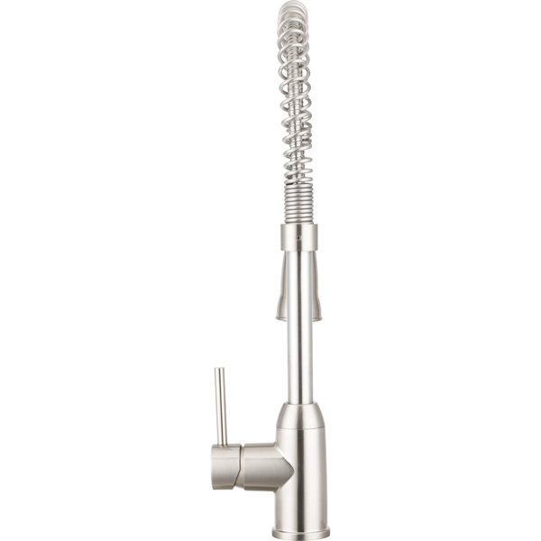Pacific Bay Rainier Pull Down Kitchen Faucet & Reviews | Wayfair
