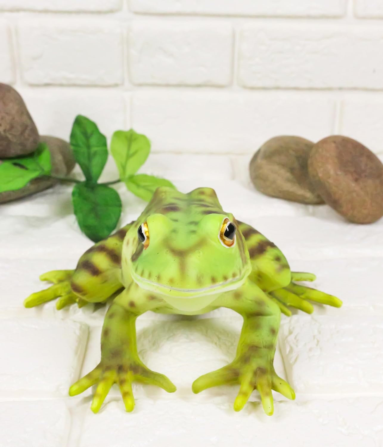 Ophelia & Co. Amphibian Wild Creatures Realistic Green Frog Decorative ...