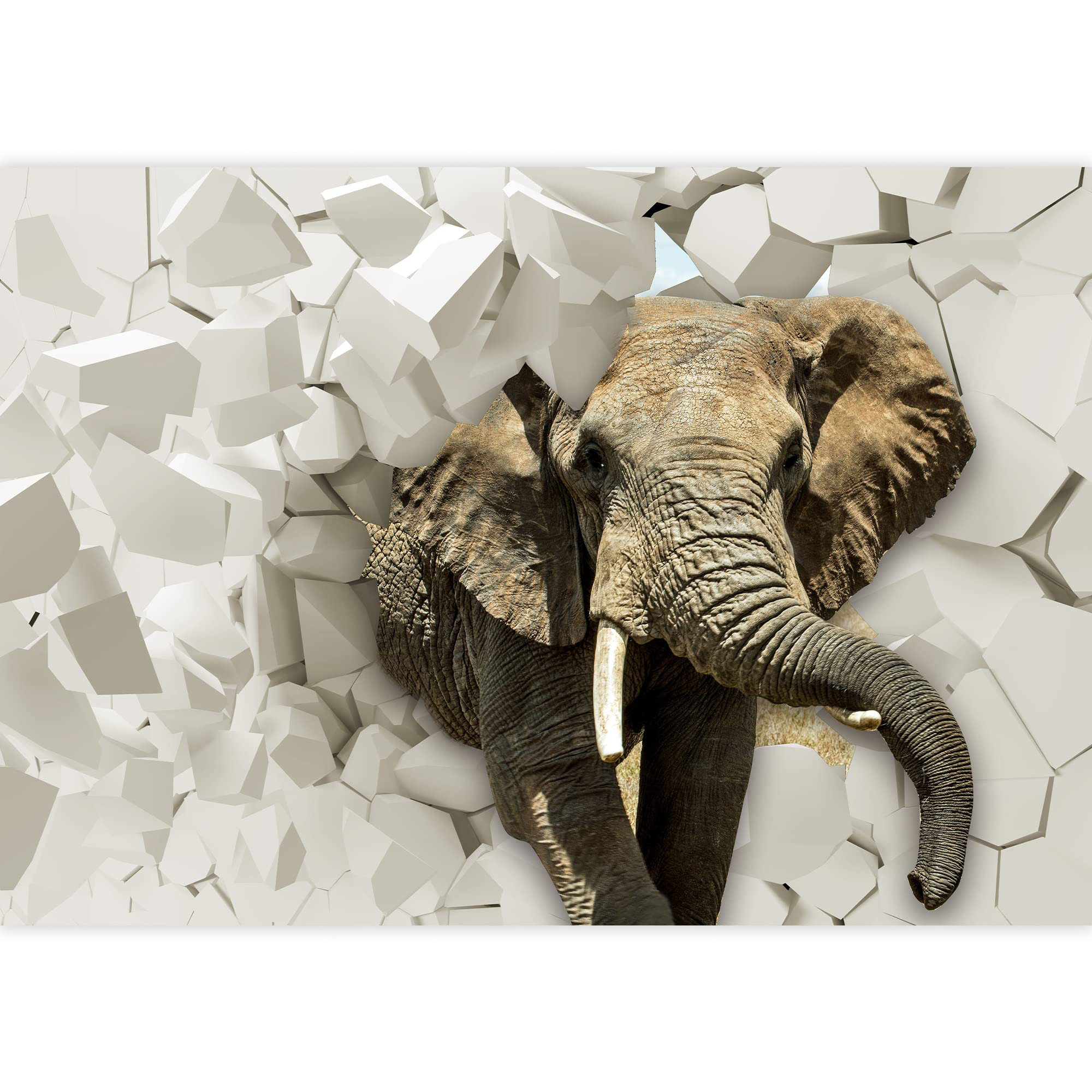IDEA4WALL Wall Mural Image of Elephant Removable Self Adhesive Large ...