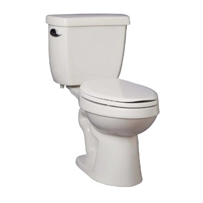 Proflo 1.28 Gallons GPF Elongated Floor Mounted Two-Piece Toilet (Seat ...