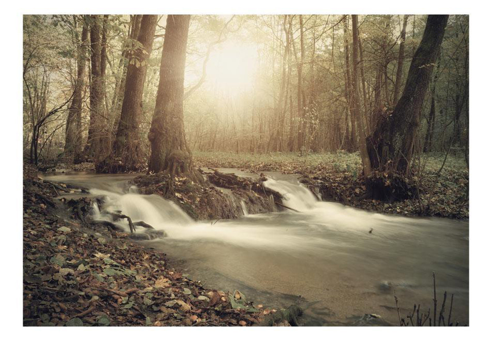 Loon Peak® Felomina Forest Cascade Wall Mural | Wayfair