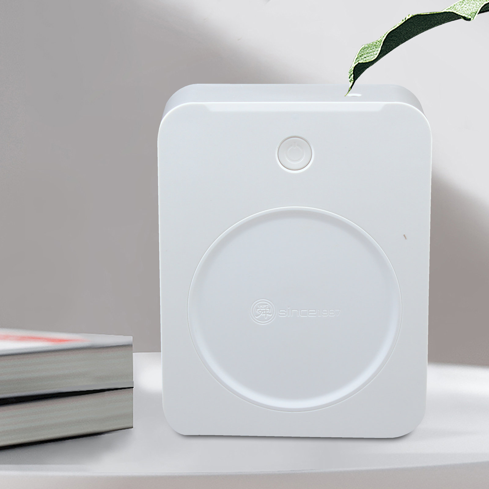 YYBUSHER Portable Step Up Voltage Power Transformer 110V to 220V ...