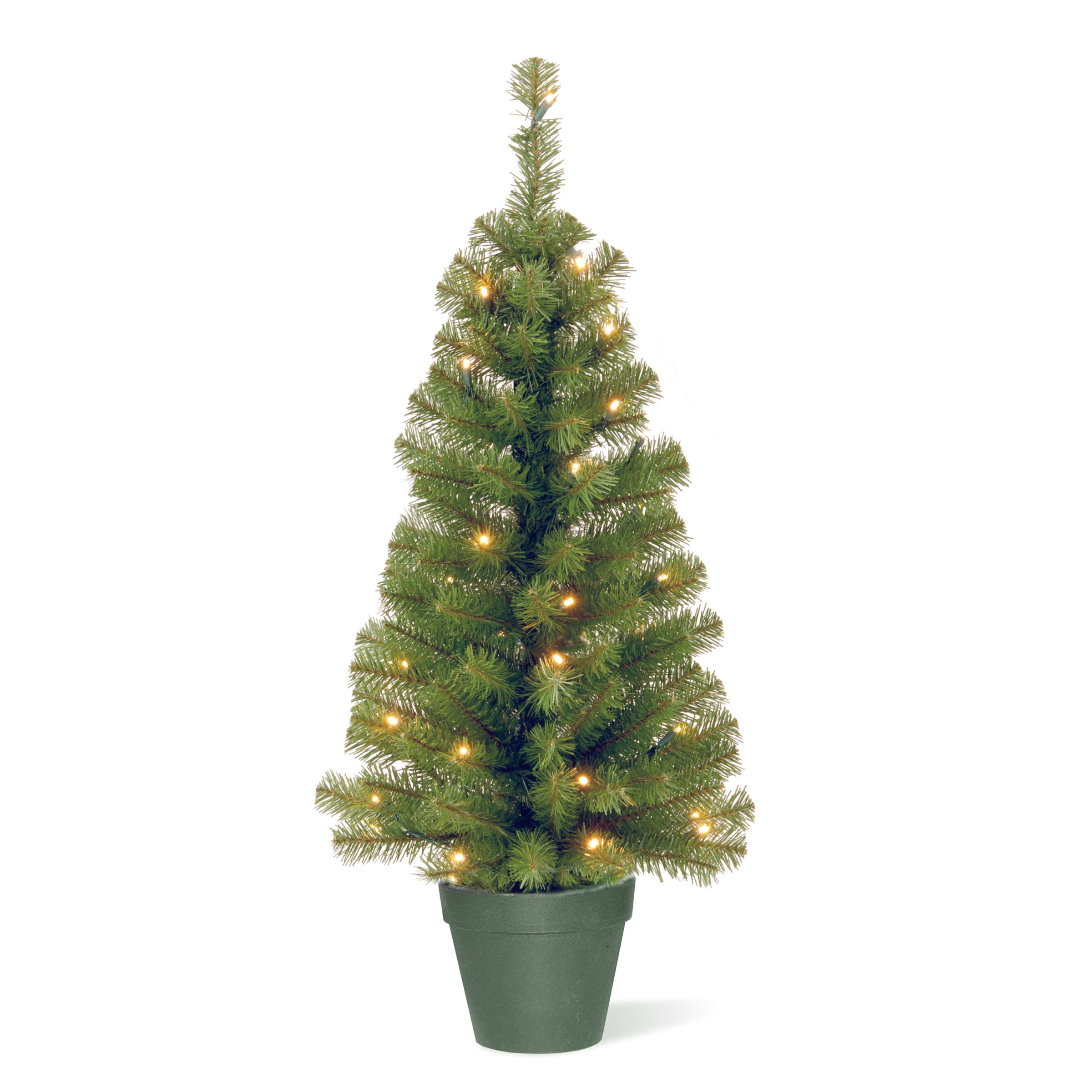National Tree Company 3.5' Lighted Pine Christmas Tree | Wayfair