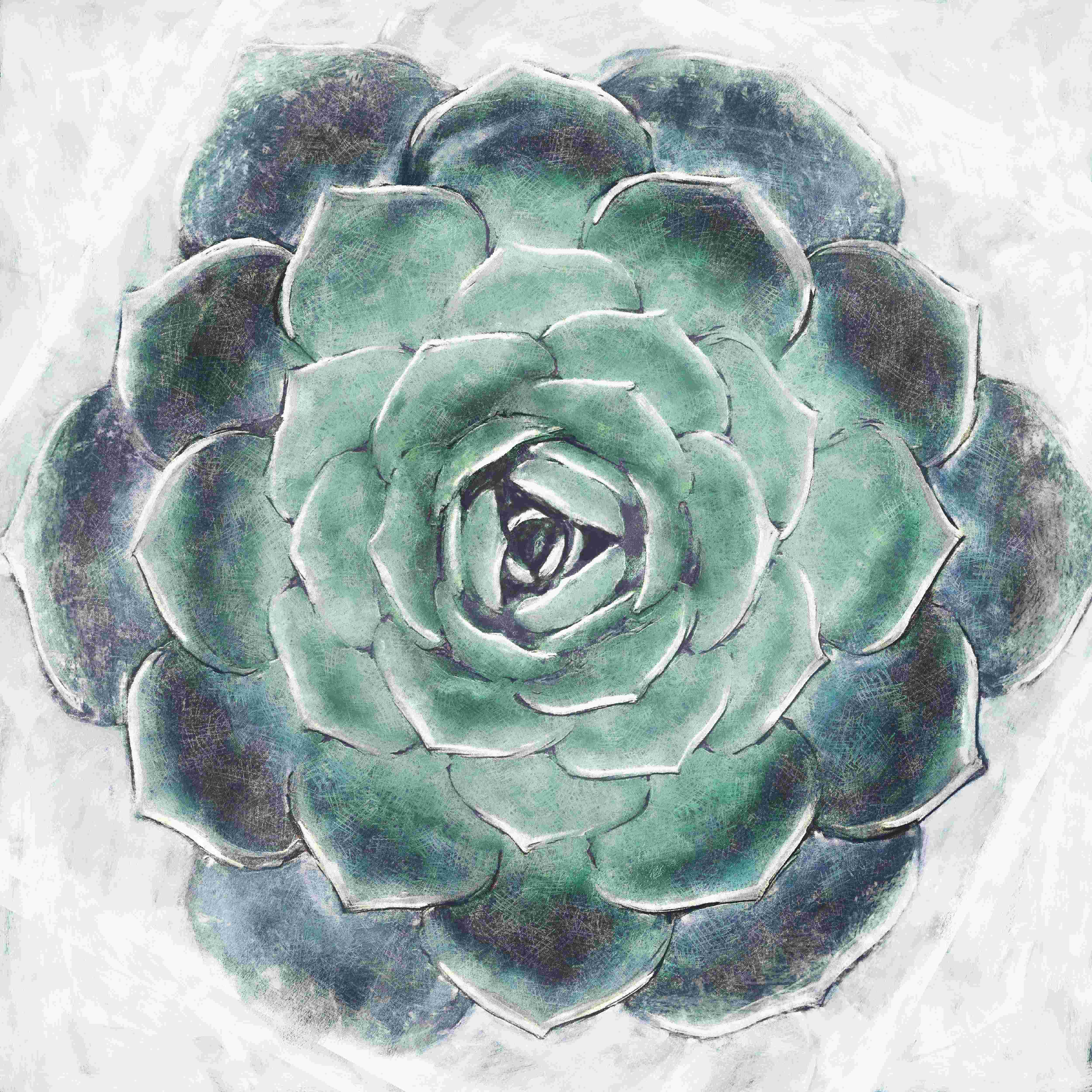 Bungalow Rose Succulent Paint 5 - Wayfair Canada