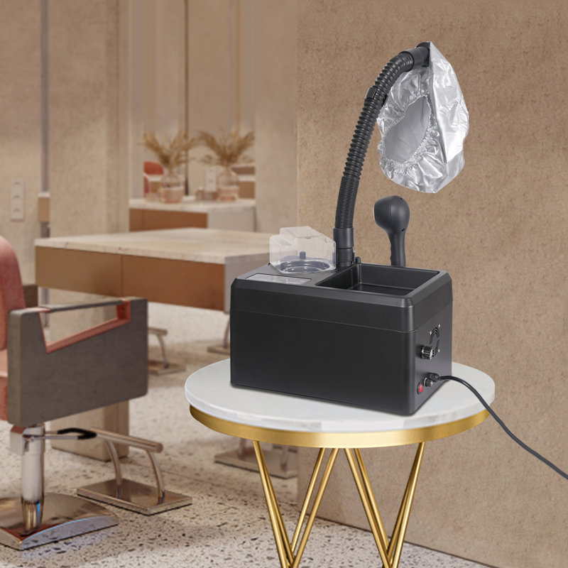 YXSUN 1750 Watt Hair Steamer Machine | Wayfair