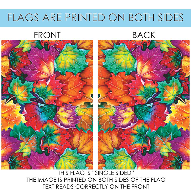 Toland Home Garden Double Sided 40'' H x 28'' W Polyester House Flag ...