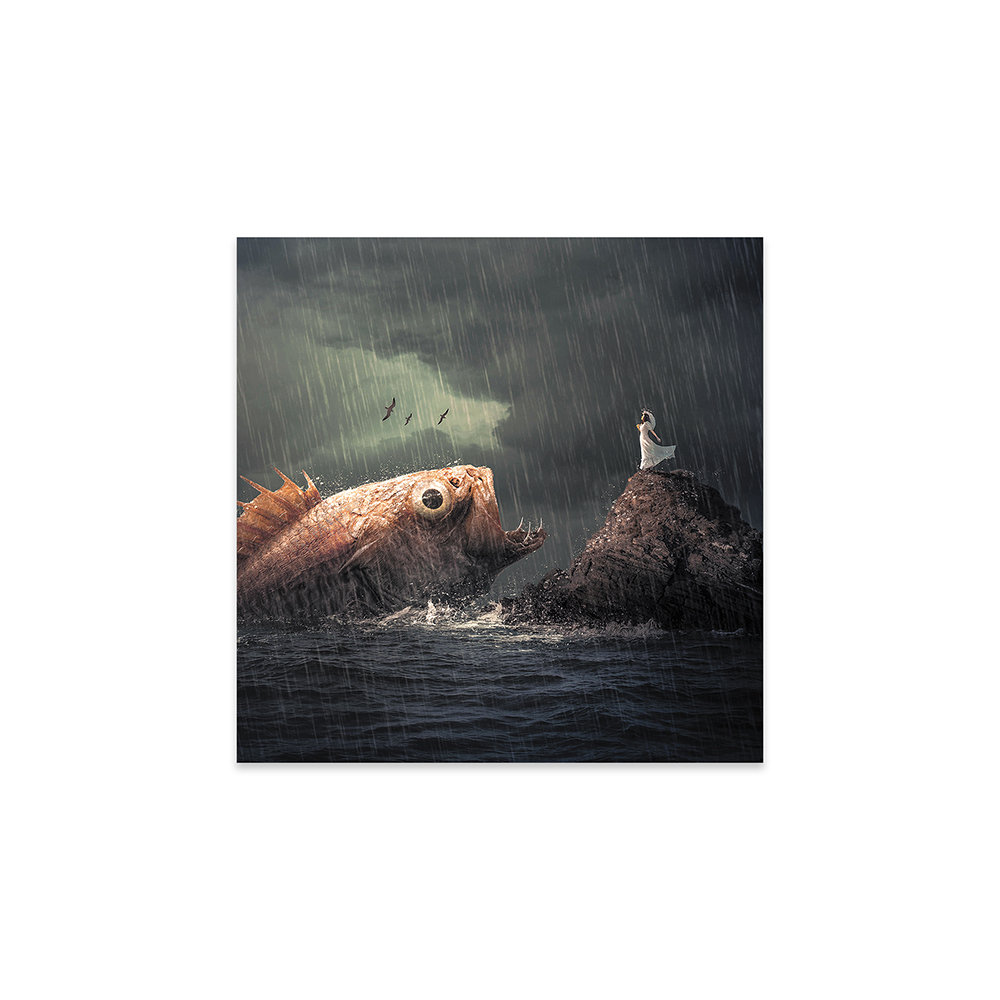 Dovecove Big Fish Print On Acrylic Glass - Wayfair Canada