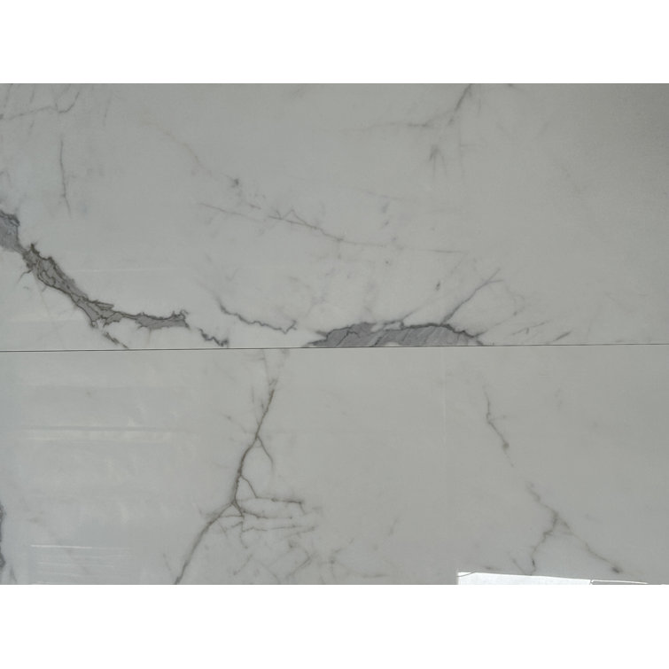 SB TILE AND STONE Super Calacatta 24" x 48" Porcelain Stone Look Wall ...
