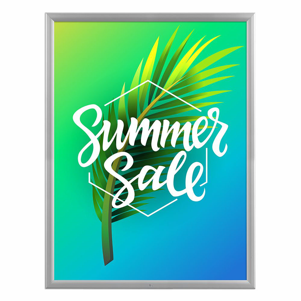 MT Displays Lockable Snap Poster Frame | Wayfair