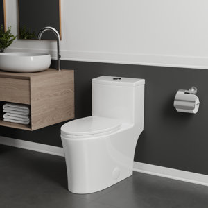Water Saving 0.8/1.28 GPF Dual-Flush Elongated One-Piece Toilet with ...