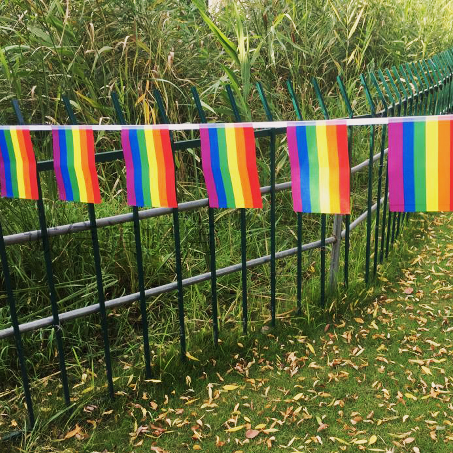 ANLEY Rainbow Flag LGBT Pride String Flag - Banners For Pansexuality ...