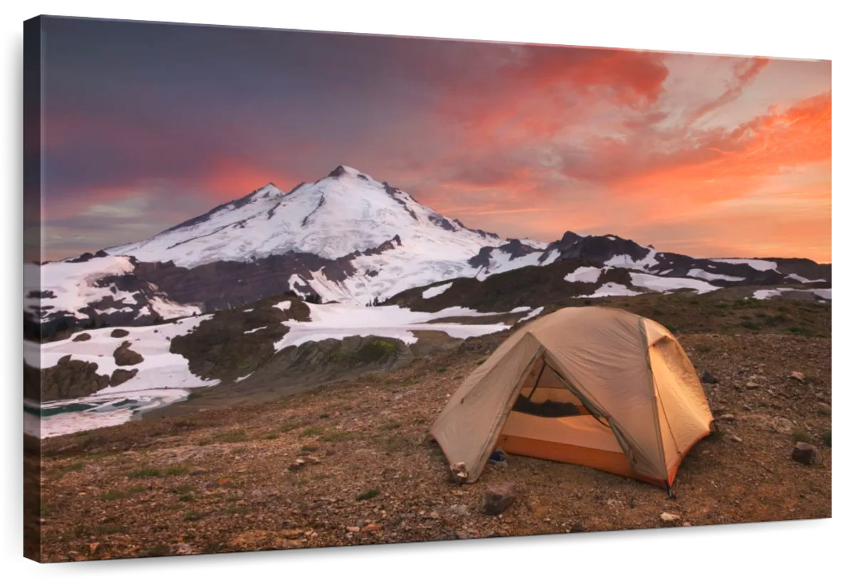 Elephant Stock Tent Near Snowy Mountain | Wayfair