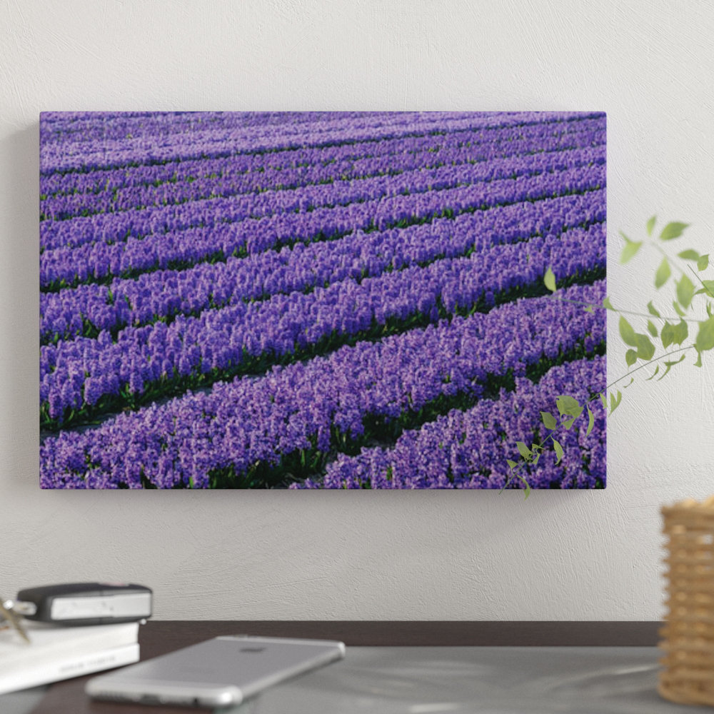 Winston Porter « blue jacinthe field », reproduction de photo sur toile ...