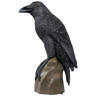 Design Toscano Giant Gothic Raven Statue | Wayfair