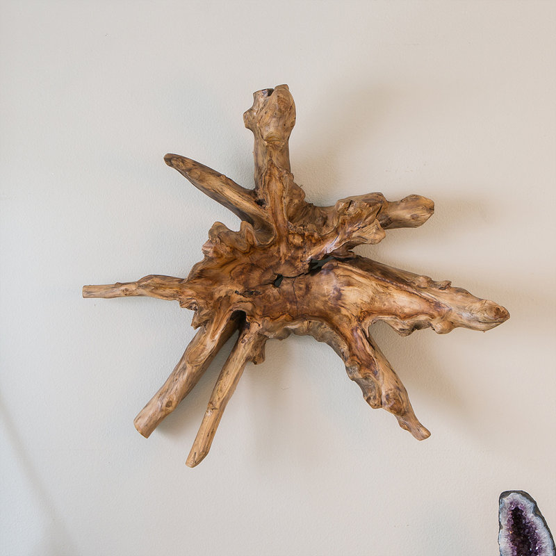 Arlmont & Co. Teak Root Wall Decor - Spider | Wayfair