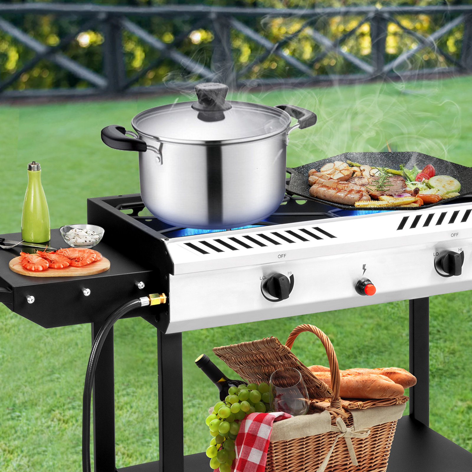 Winado 2 Burner Outdoor Propane Gas Stove With Auto-ignition & Side ...