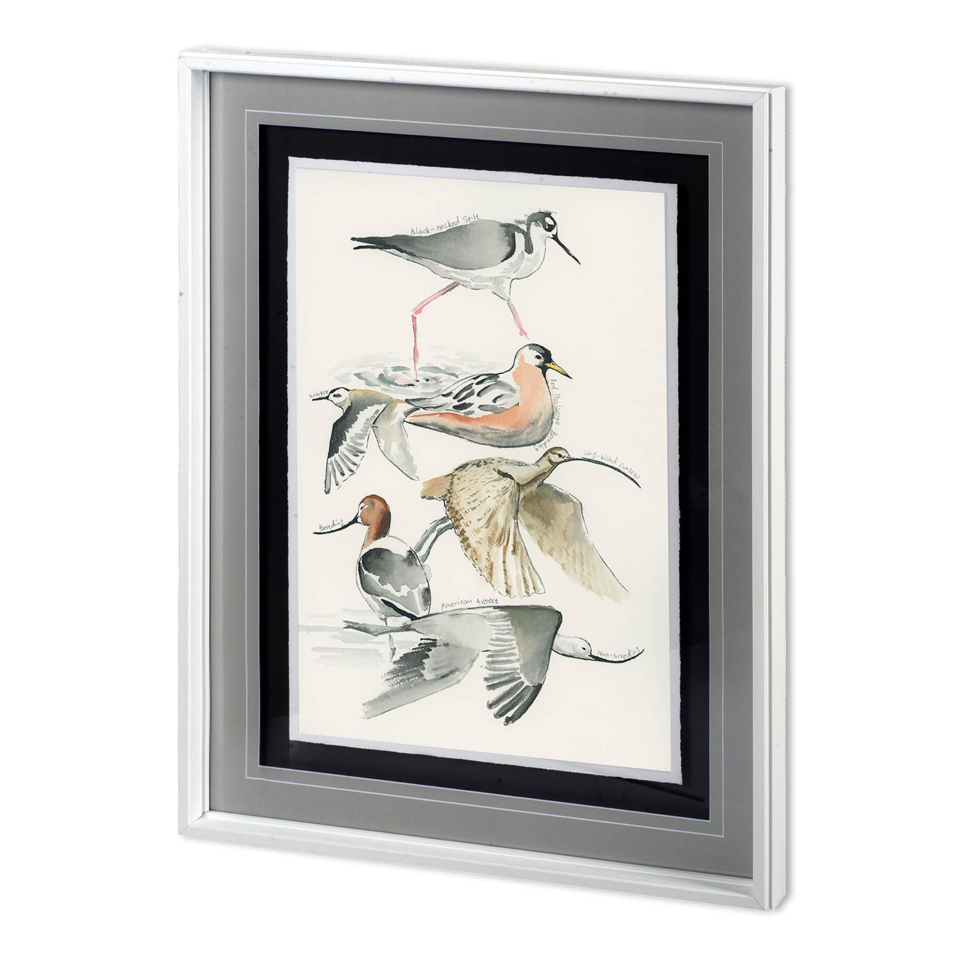 Rosecliff Heights Birds Study I Framed On Paper Print | Wayfair