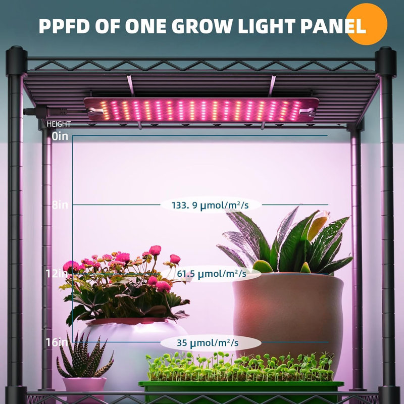 Rebrilliant Plant Stand Indoor With Grow Light | Wayfair