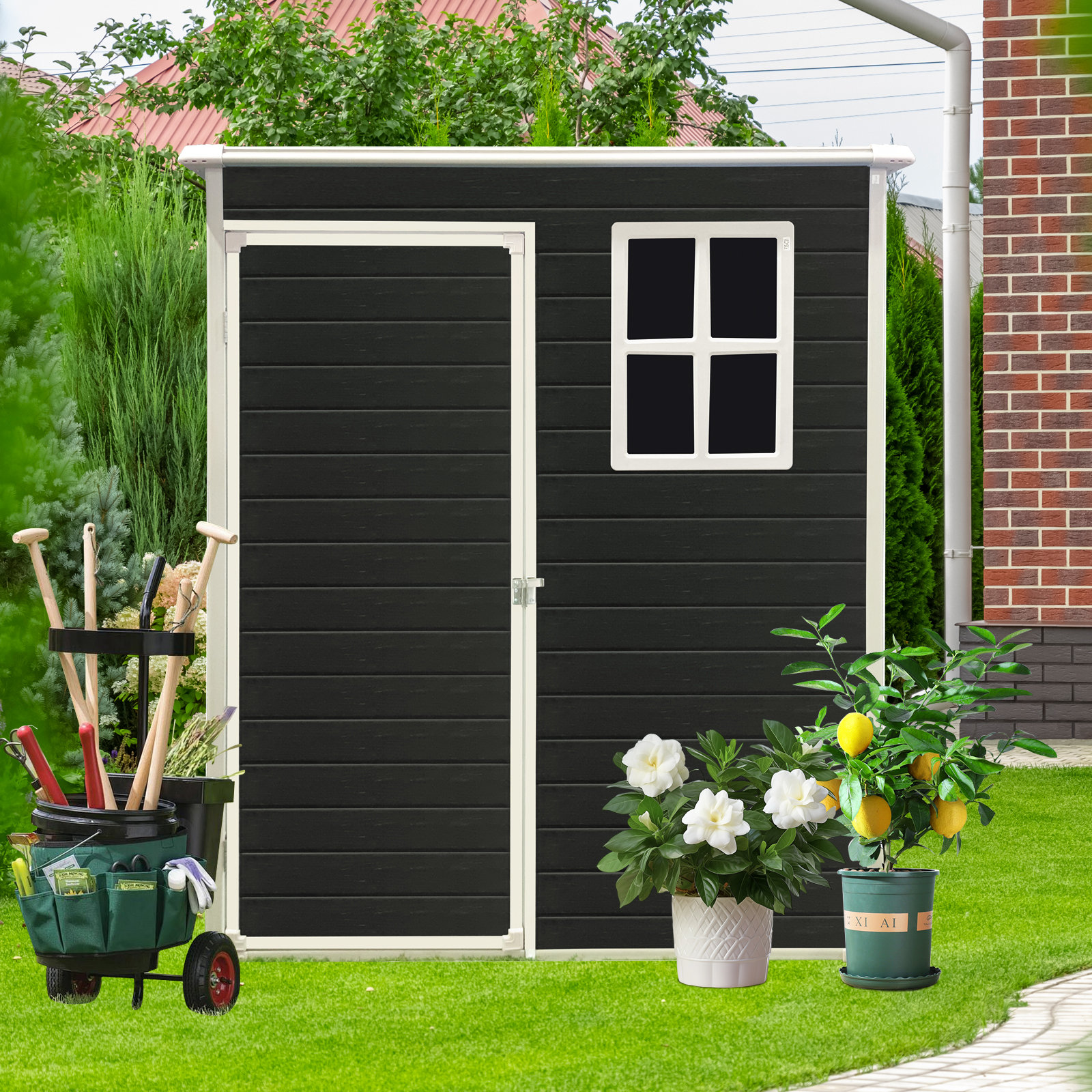 HOA.WWC 5x3 Resin Outdoor Storage Shed with Floor and Window Black ...
