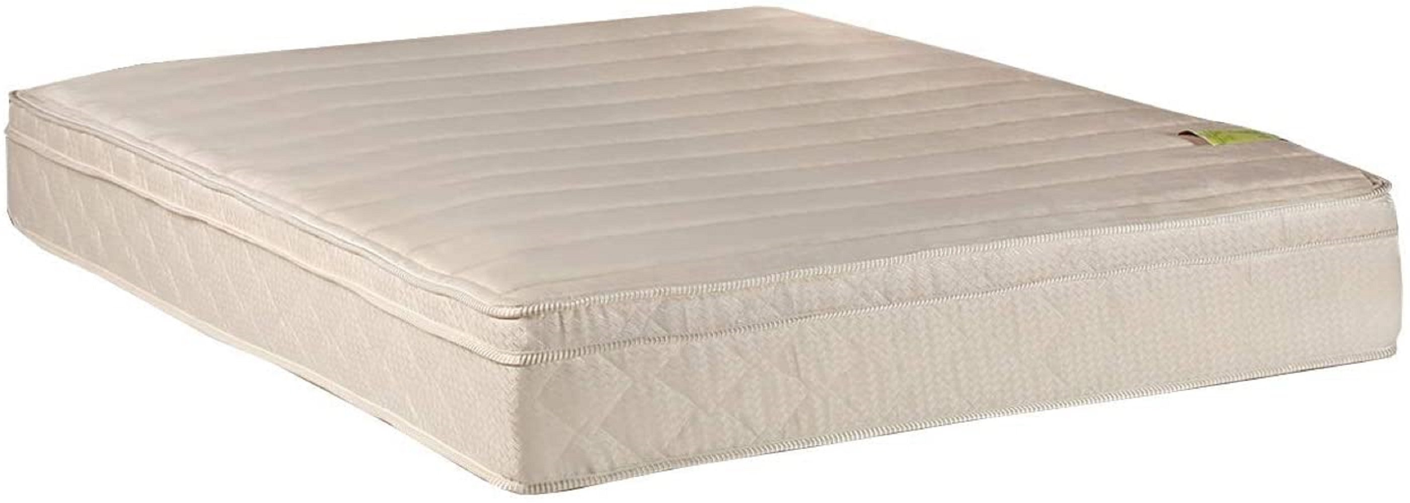 Alwyn Home Beverly Hills Quality Firm Foam Encased Eurotop (pillow Top ...