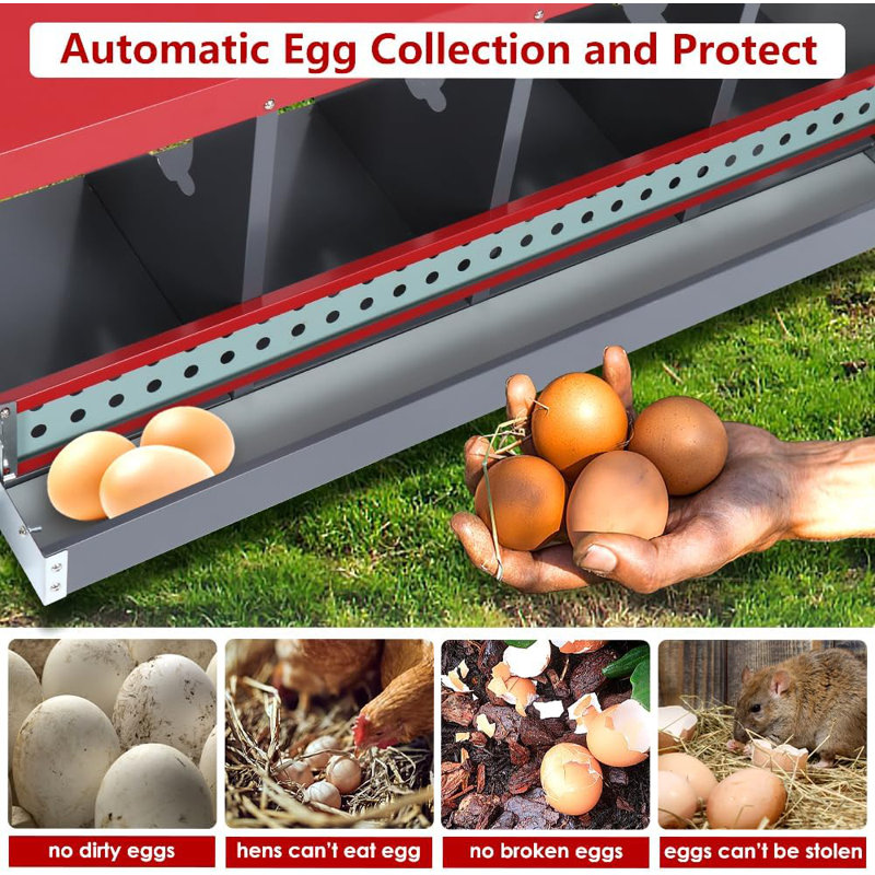 Archie & Oscar™ Chicken Nesting Box 4 Holes for Laying Eggs, Roll Out ...