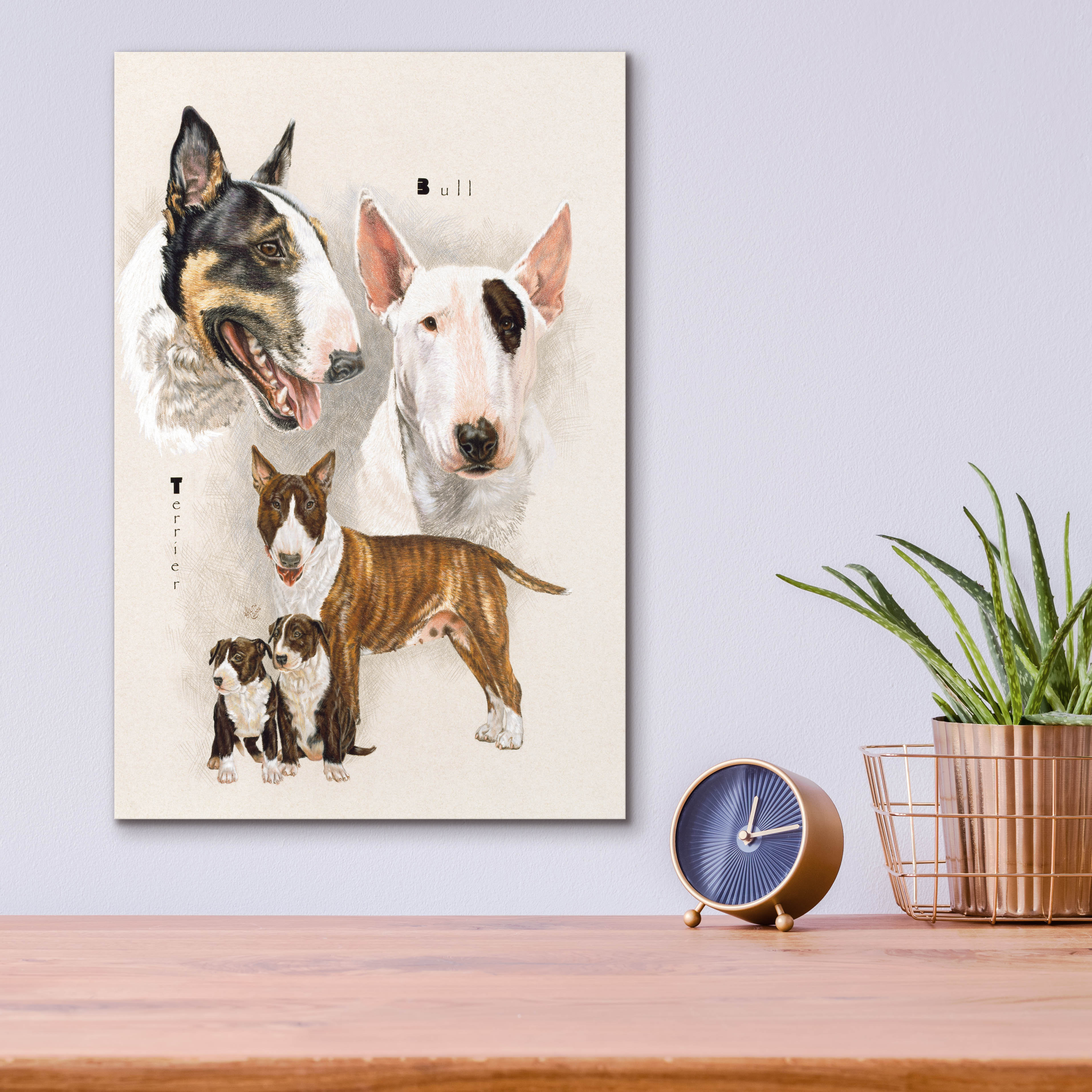 Red Barrel Studio® Bull Terrier by Barbara Keith - Unframed Print ...