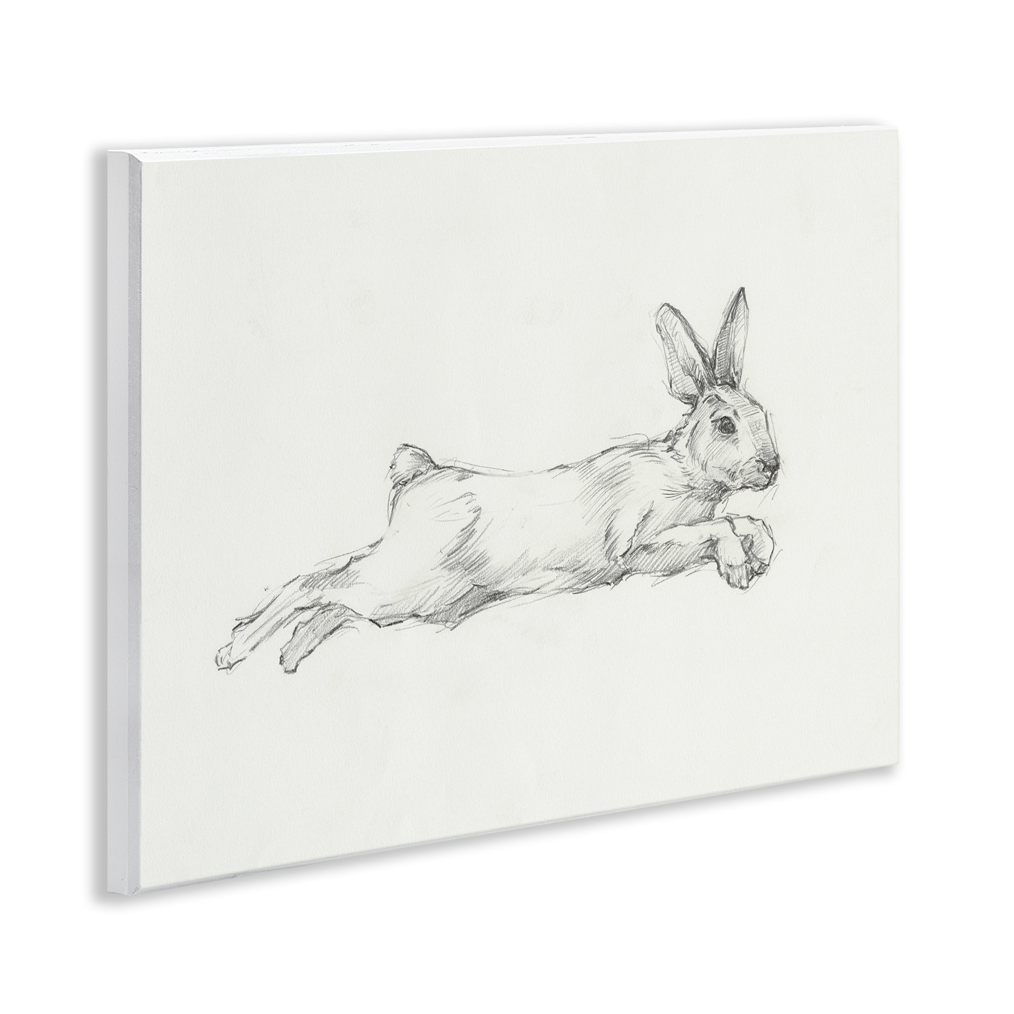 Stupell Industries Jumping Rabbit Sketch Wall Plaque Art by Ethan ...