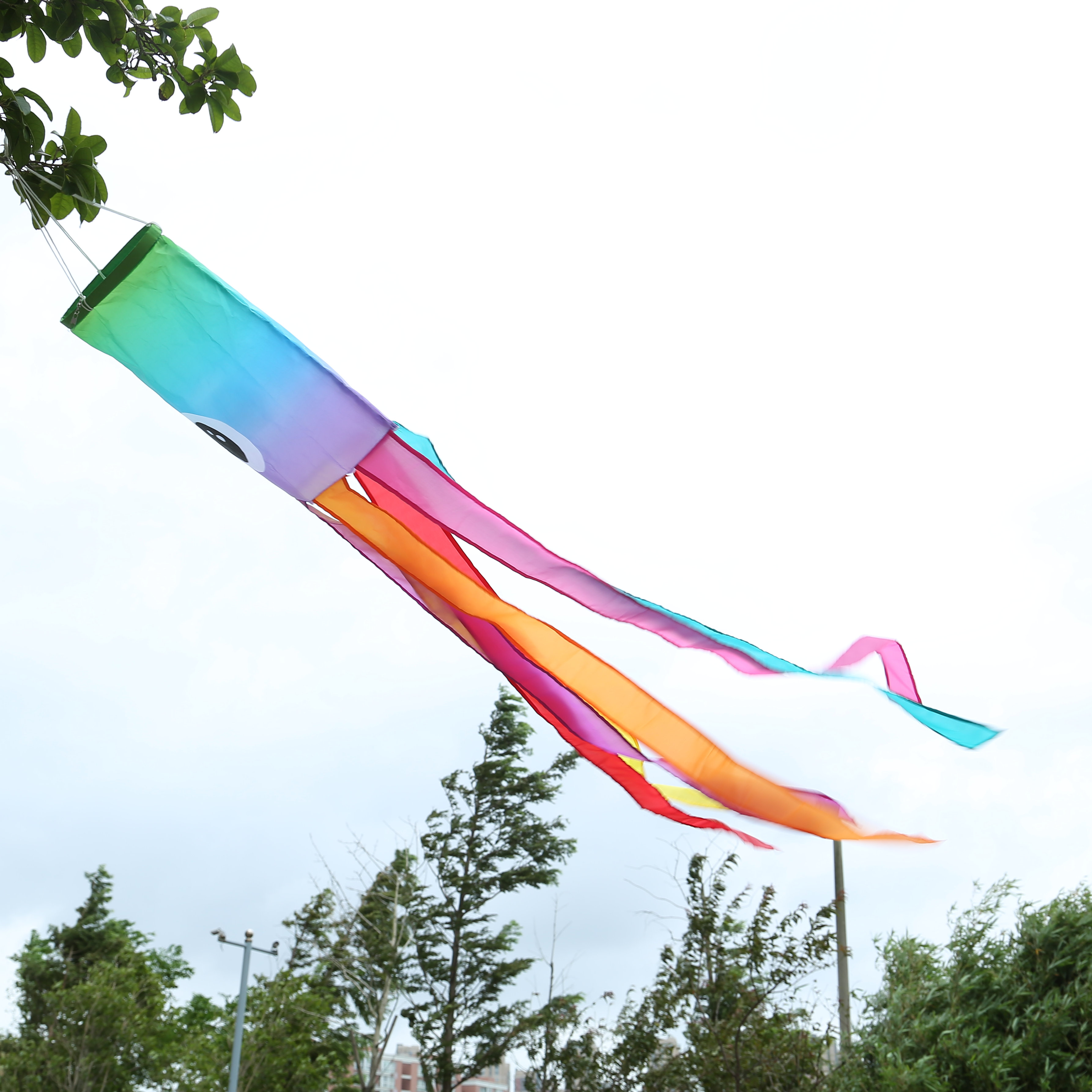 Trinx Breezy and Whimsical Octopus Windsock - Wayfair Canada