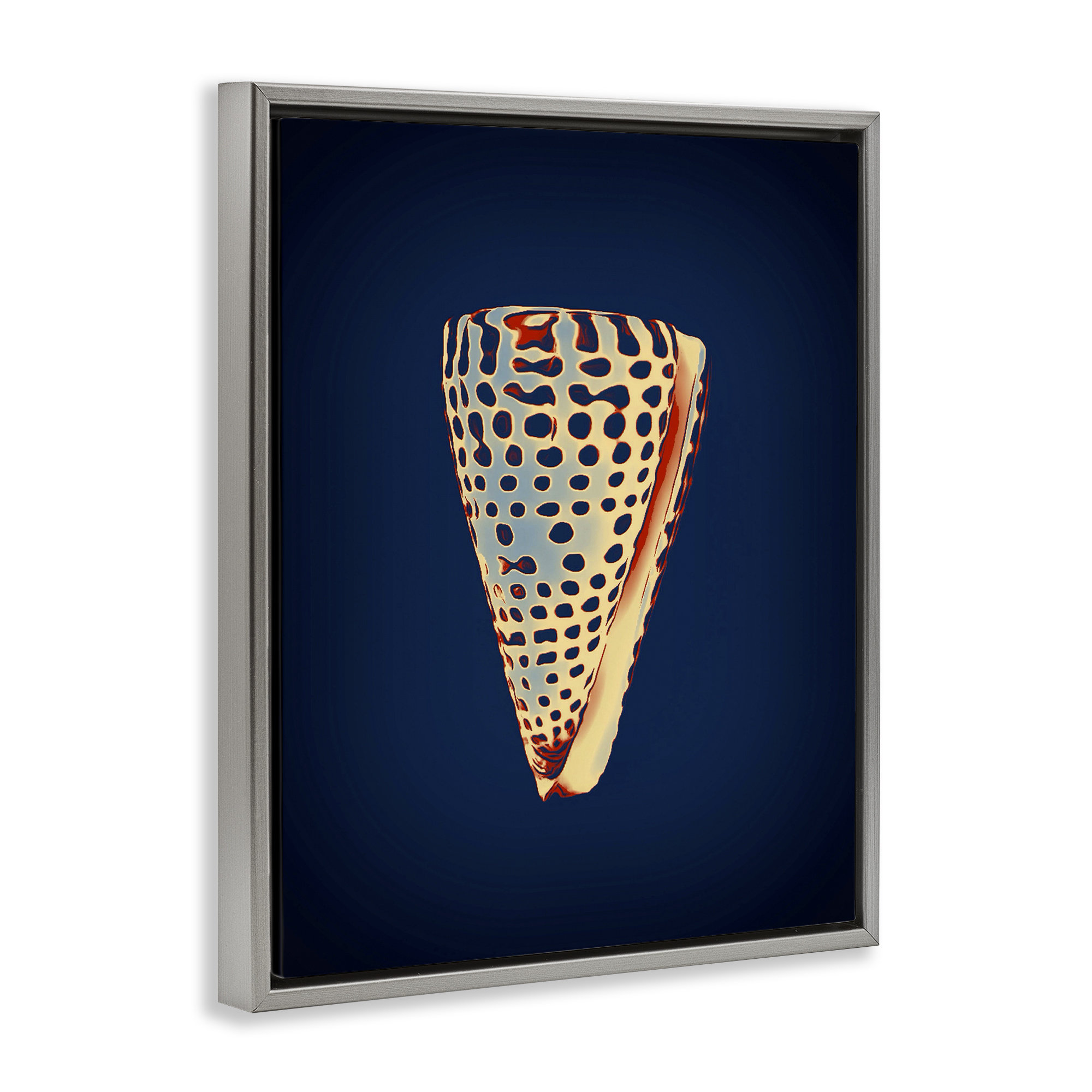 Dovecove Cone Shell on Blue Framed Floater Canvas Wall Art by Graffi ...
