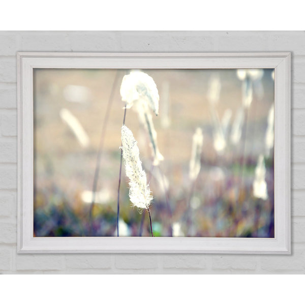 Ebern Designs Grass Fluff Summer - Single Picture Frame Art Prints ...