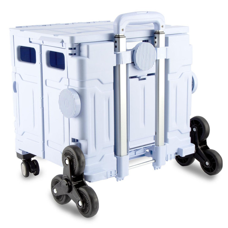 Rebrilliant Plastic Craft Case | Wayfair.co.uk