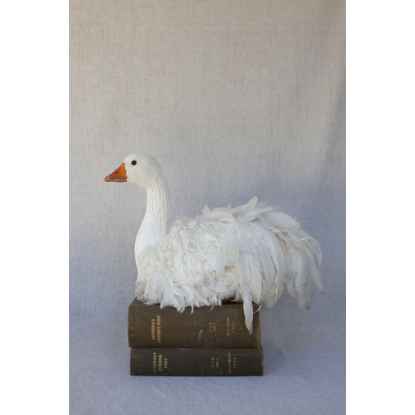 August Grove Tania Soderman Books III by Tania Soderman - Wrapped ...