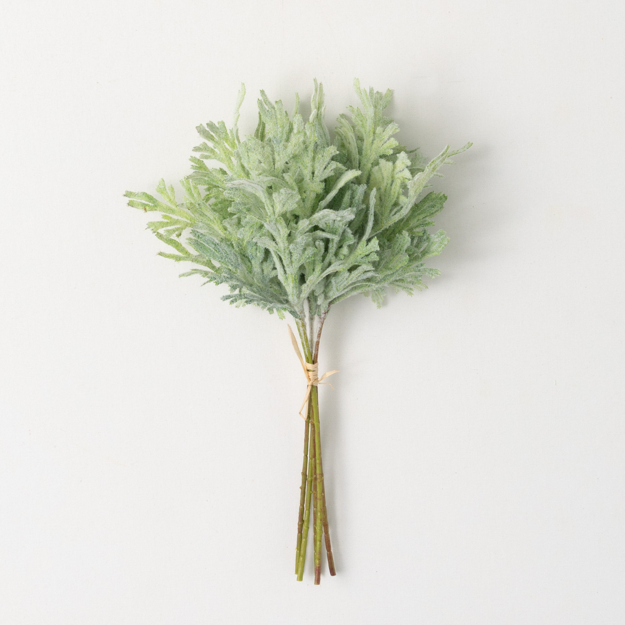 AllModern Lissa 15.5" Split Leaf Fern Bundle; Green | Wayfair