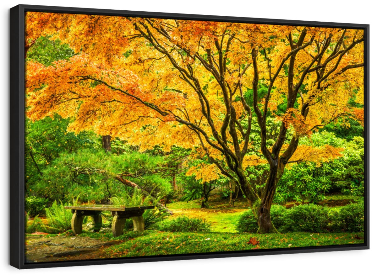 Latitude Run® Seattle Park Maple Tree Canvas Print | Wayfair