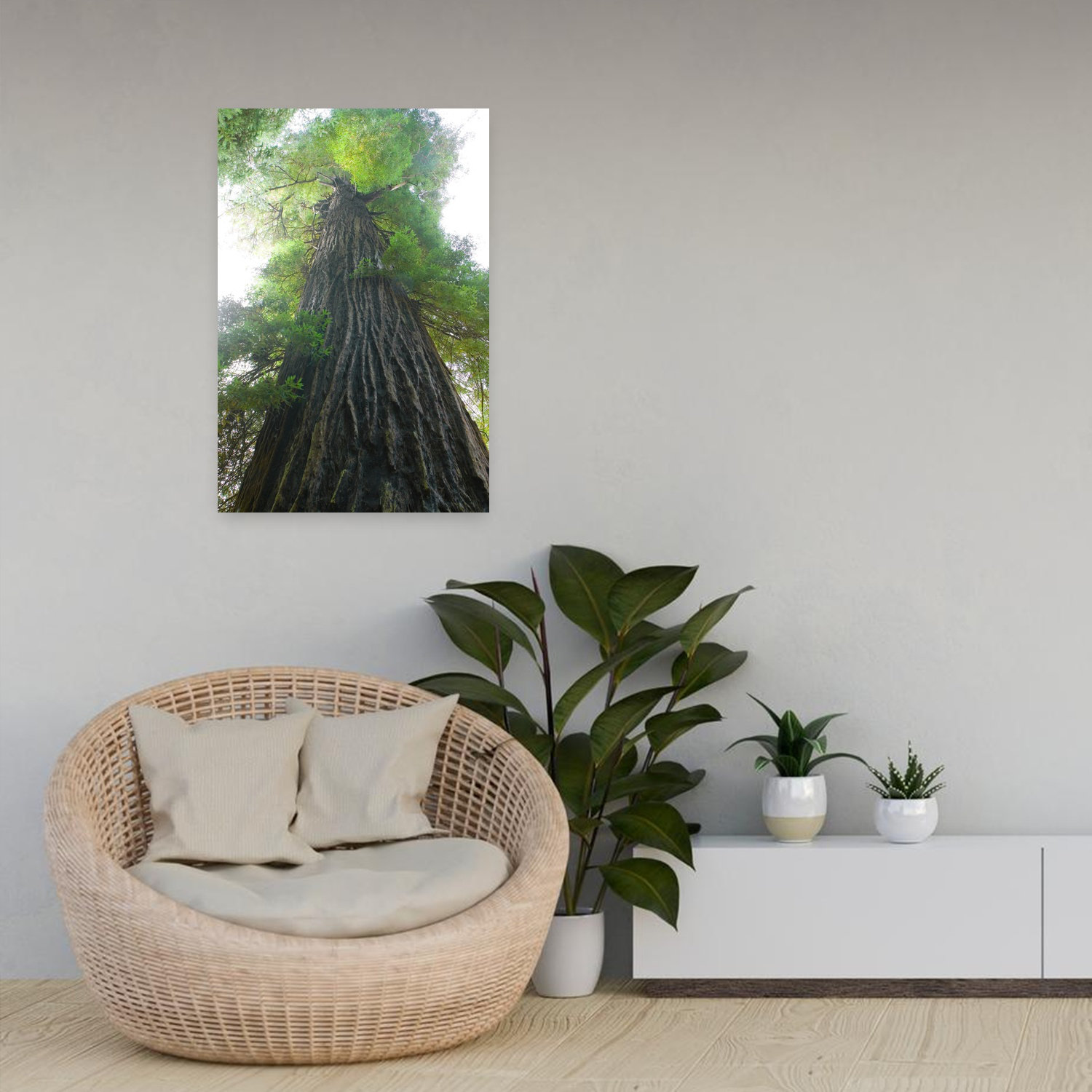 Latitude Run® Low-Angle View Of Redwood Tree Abstract Contemporary ...