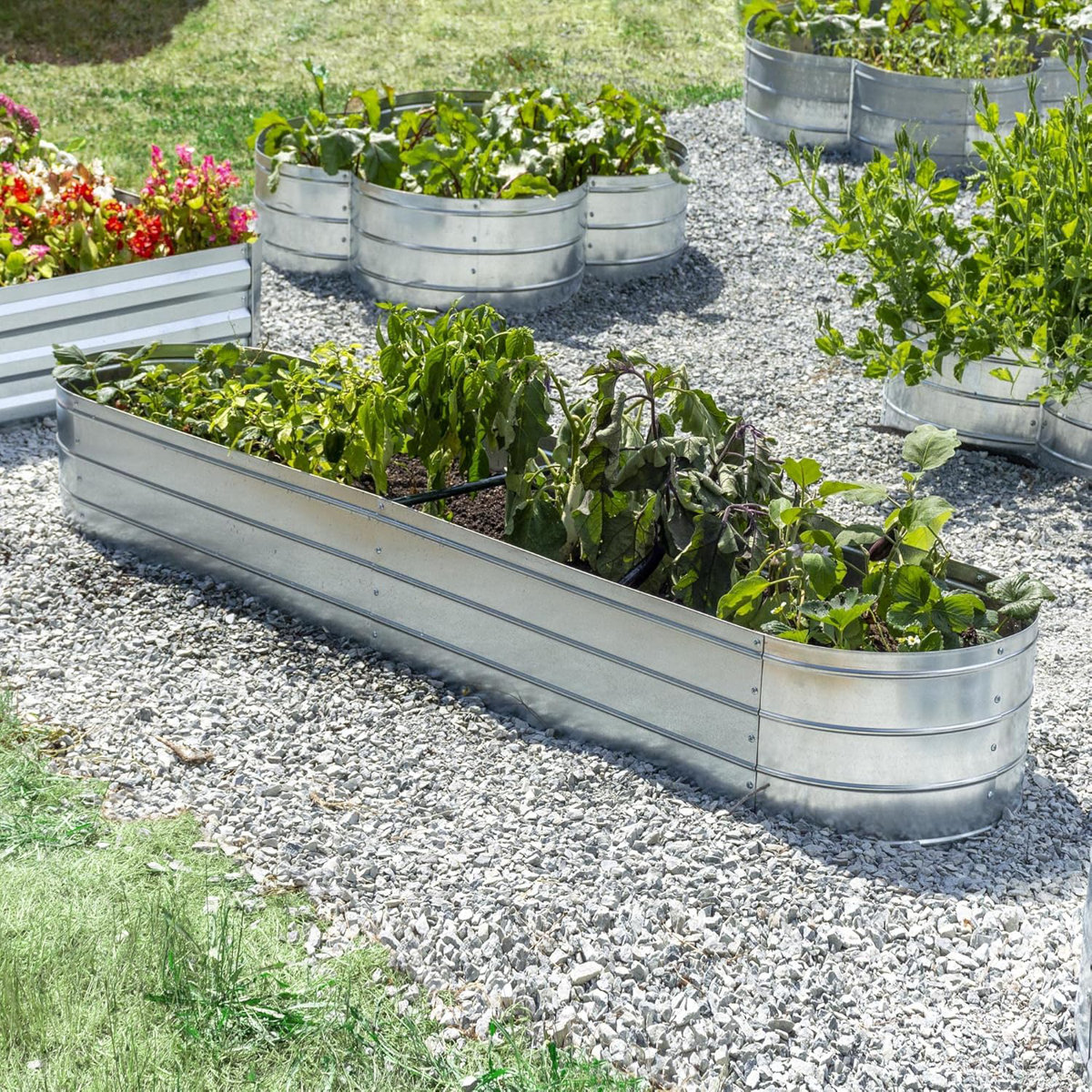 Arlmont & Co. Galvanized Steel Raised Garden Bed, Oval, 79IN, Silver ...