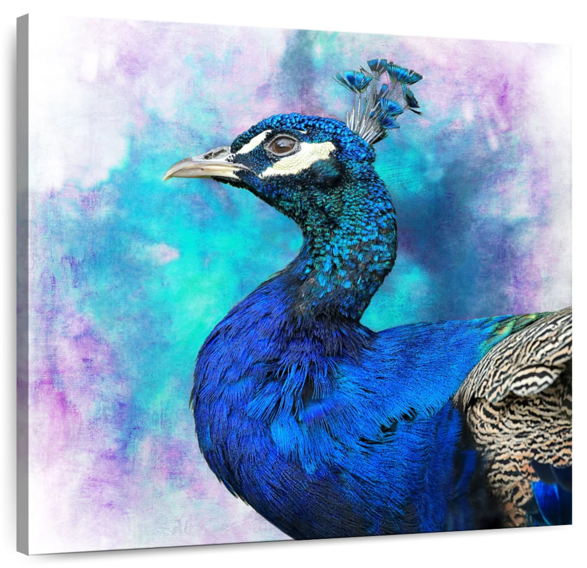 Ebern Designs Brampt Proud Blue Peacock | Wayfair