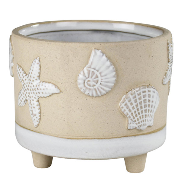Highland Dunes Elienor Seashell Cachepot | Wayfair