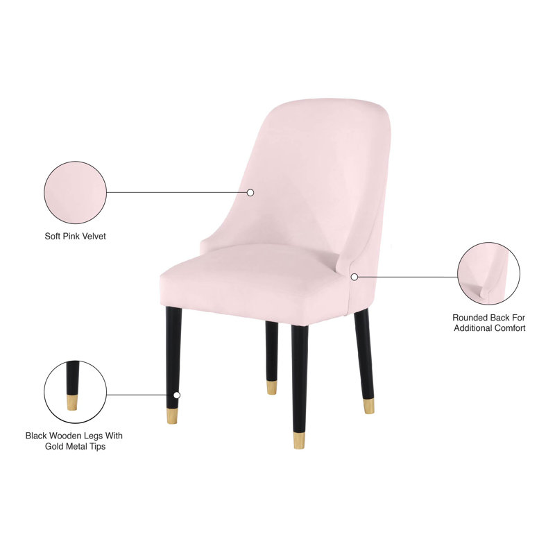 Willa Arlo Interiors Parra Velvet Wing Back Side Chair & Reviews | Wayfair