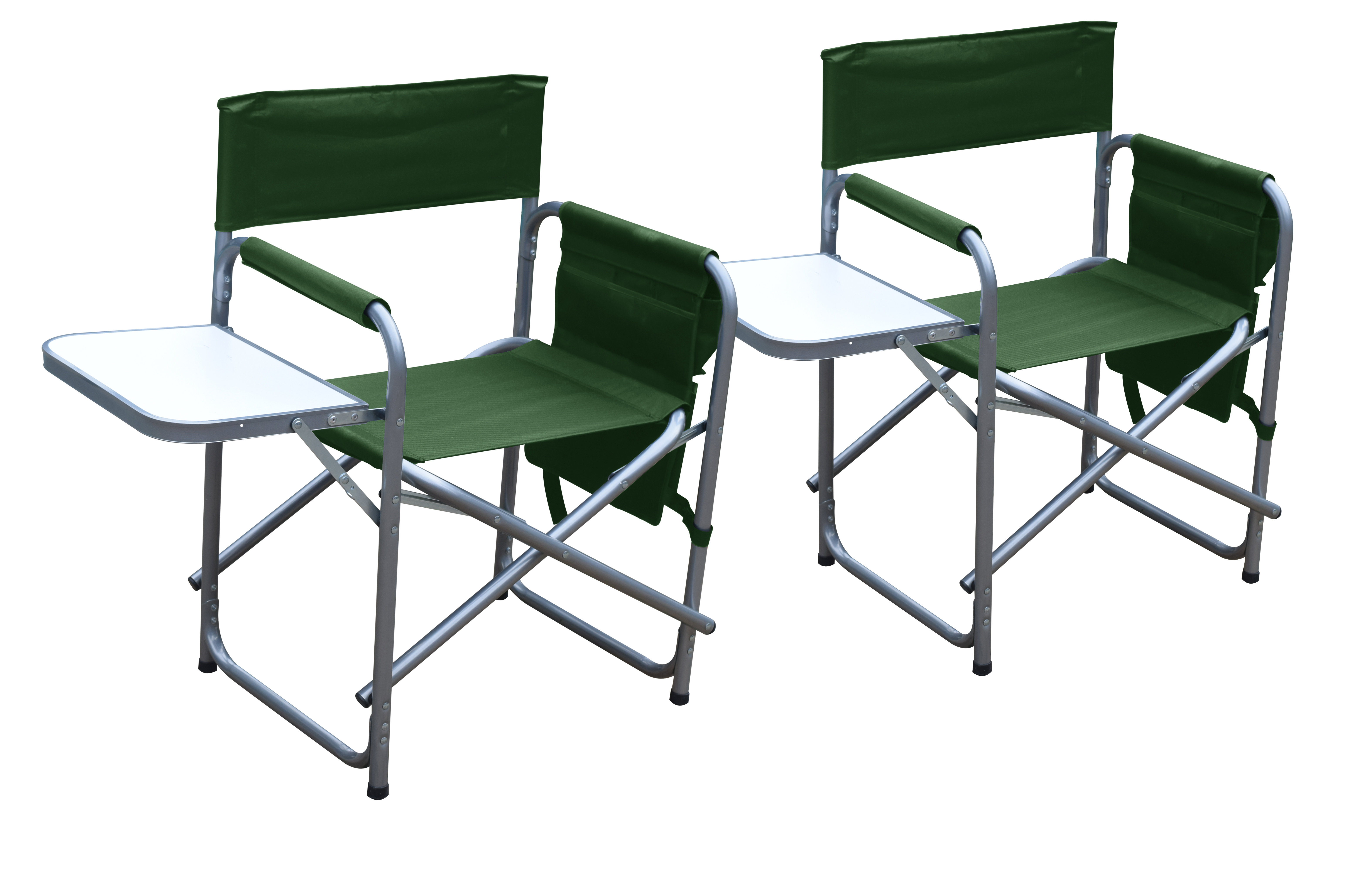 Arlmont & Co. Dimitar Folding Director Chair - Wayfair Canada